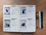 How to Start Your Own House Plant Journal - Indoor Plant Addicts